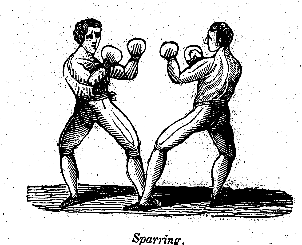Martial Arts Overview: Sparring